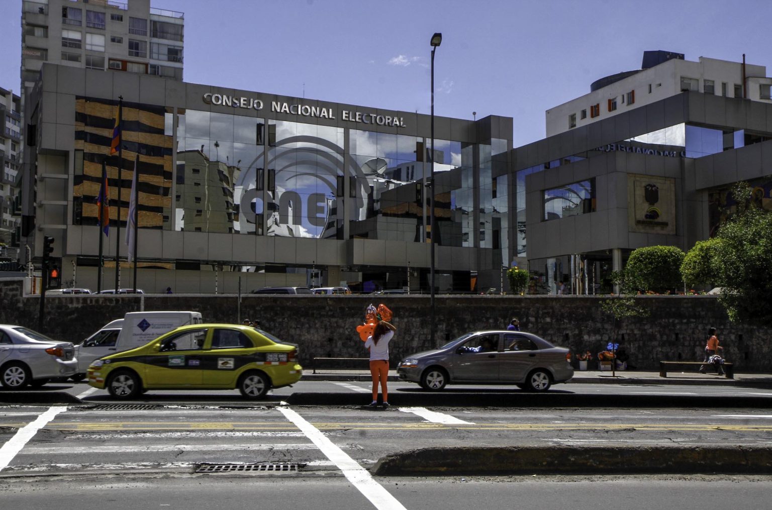 Un CNE parcialmente renovado desarrollará las elecciones seccionales ...
