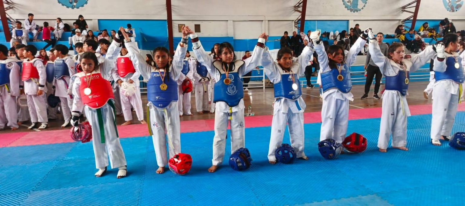 Deportistas destacan en taekwondo interprovincial - El Heraldo