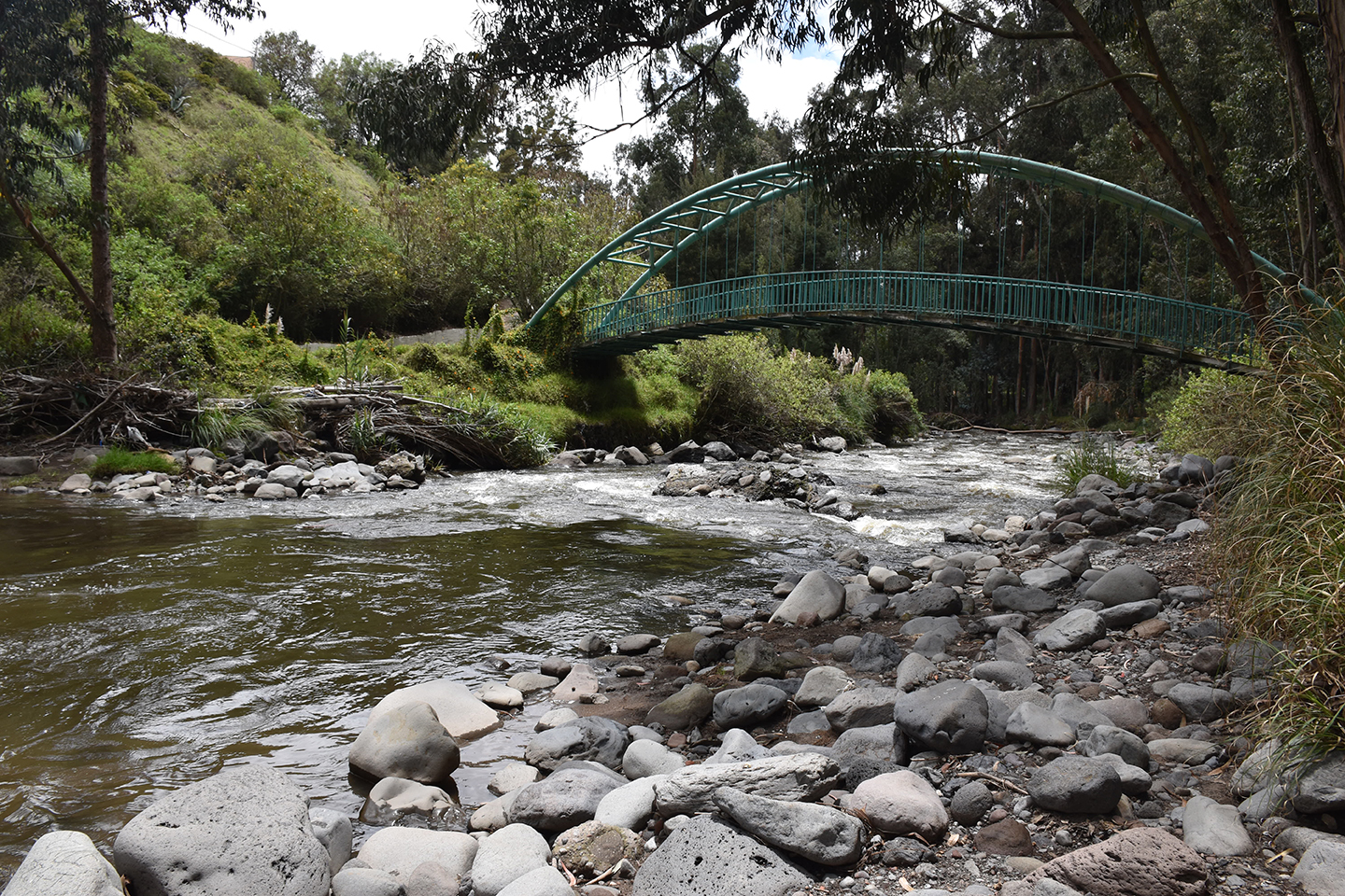 Mingas, charlas y feria ambiental - El Heraldo